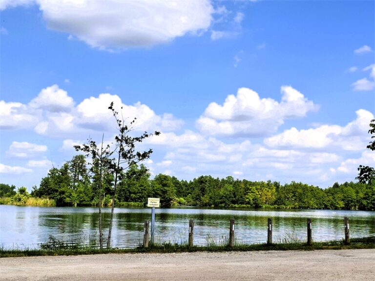 Direkt an der Havel – eigener Bootssteg und sonniges ...